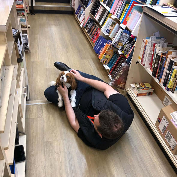 Where Pets Are VIPs: Subiaco's Most Pet-Friendly Businesses - See Subiaco